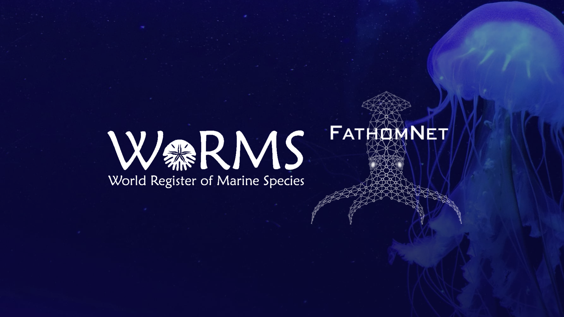 MBARI and WoRMS: Collaborating to build open datasets of ocean life with FathomNet | FathomNet